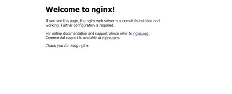 Welcome To Nginx Page 2 Aapanel Free Hosting Control Panel One