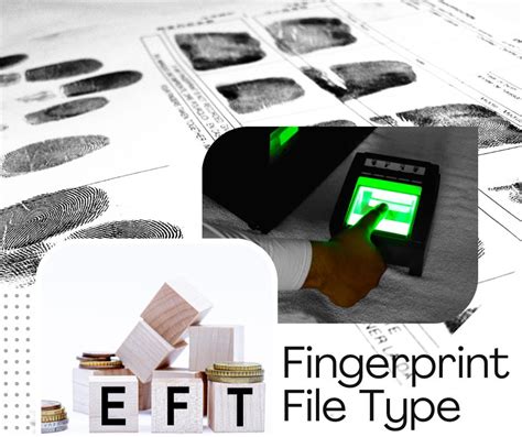 Atf Fingerprint File Type Everything You Need To Know