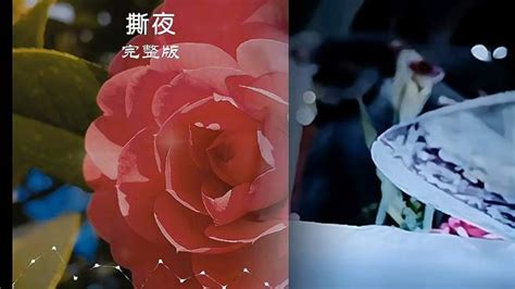 一首巜撕夜原唱阿杜 音乐视频 搜狐视频