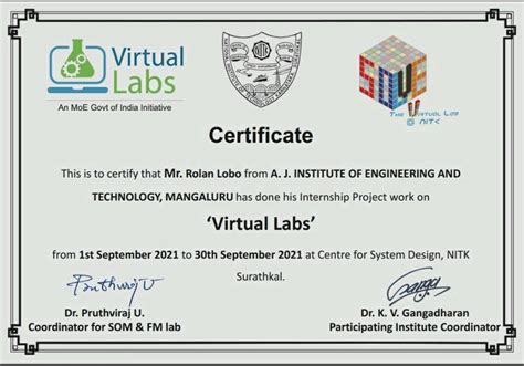 Internship Rolan Lobo