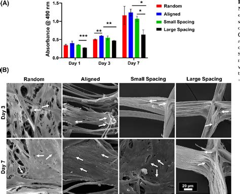 Figure 2 From Tissue Specific Melt Electrowritten Polymeric Scaffolds