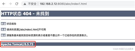 浅谈nginx（或lnmp）、apache（或lamp）、tomcat版本信息泄露危险和修复方法nginx错误页面web应用服务器版本泄露