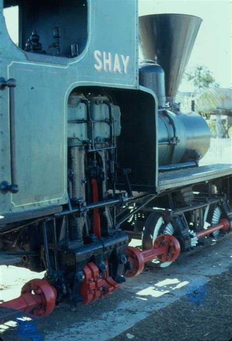 The Shays