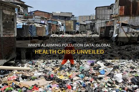 Whos Alarming Pollution Data Global Health Crisis Unveiled Shunwaste