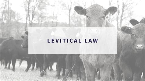 Levitical Law