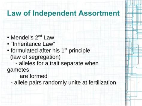 Mendel´s Third Law Law Of Independent Assortment Pptx Genetics