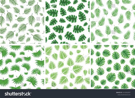 Tropical Leaf Patterns