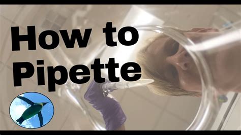 Lab Skills How To Pipette YouTube