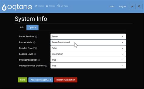 Serverprerendered Oqtane 22 Missing Html Output Produced By Dynamic Components Themes Modules