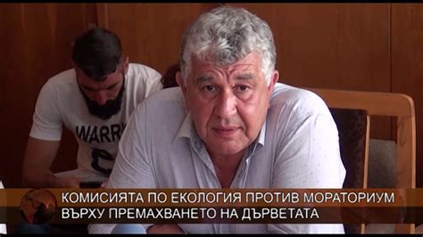 Комисията по екология против мораториум върху премахването на дърветата Youtube