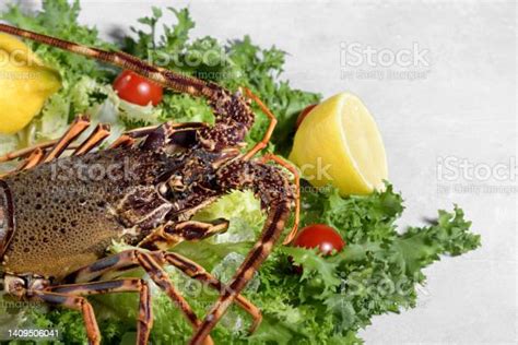 신선한 가시 랍스터 또는 샐러드 토마토 및 레몬을 곁들인 바다 가재 일반적인 지중해 랍스터 요리 준비 갈고리 발톱에 대한 스톡 사진 및 기타 이미지 Istock