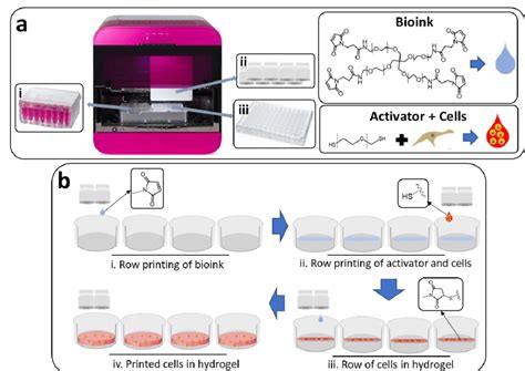 3d Bioprinting Process Based On Drop On Demand Printhead A A Download Scientific Diagram