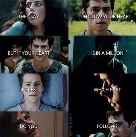 The Maze Runner Maze Runner Maze Runner Movie Maze Runner Funny