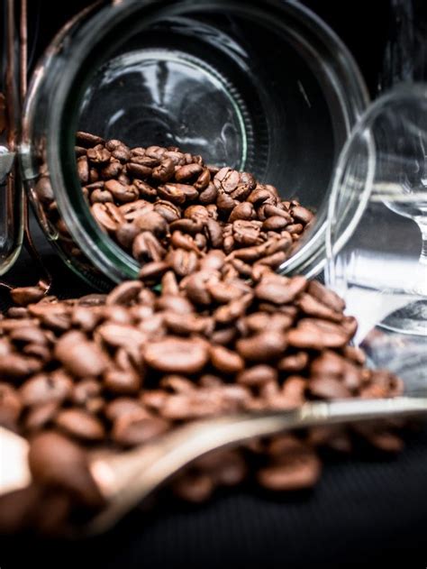 Whats The Difference Between Coffee Beans Vs Cocoa Beans Whats The Difference Between Coffee Beans Vs Cocoa Beans