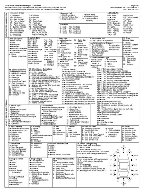 Code Sheet Police Report Pdf