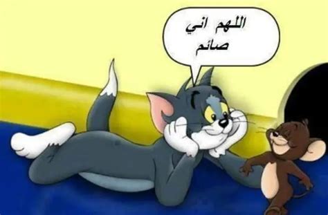 صور توم وجيري مضحكه أحدث الخلفيات