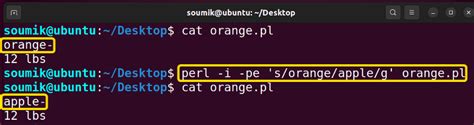The Perl” Command In Linux With 4 Practical Examples Linuxsimply