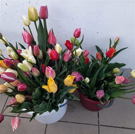 🔥 Ліквідація ДО Нового року 🔥 10 на підтримку ЗСУ СУПЕРОВА ЗНИЖКА 45 1 1 3 Крапельний