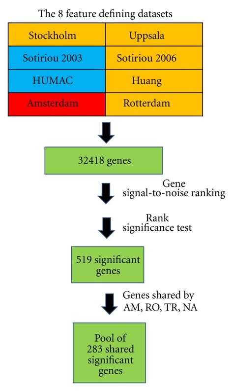 Feature Selection Eight Breast Cancer Gene Expression Datasets Download Scientific Diagram