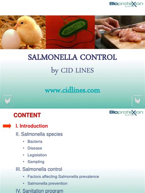 Pdf Salmonella Control Poultry Dokumen Tips