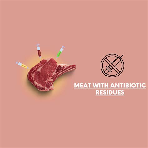 Understanding The Impact Of Meat With Antibiotic Residues • Less Antibiotics By Xvet Gmbh