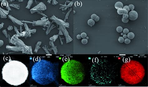 A Sem Image Of Tb Mofs Without H2tdc B Sem Image Of Tb Mofs With Download Scientific