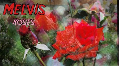 Roses Melvis Youtube