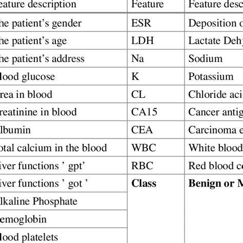 The K Fold Cv And Stratified Cv Performance Download Scientific Diagram