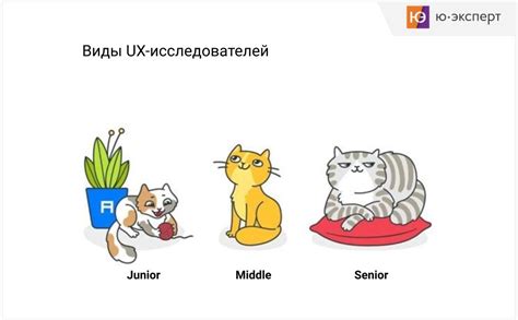 Статья Артема Кузнецова Ux исследователь профессия которую ты полюбишь