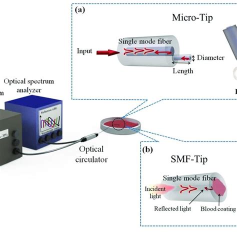 Schematic Configuration Of Experimental Set Up Based On Fabry Perot Download Scientific Diagram