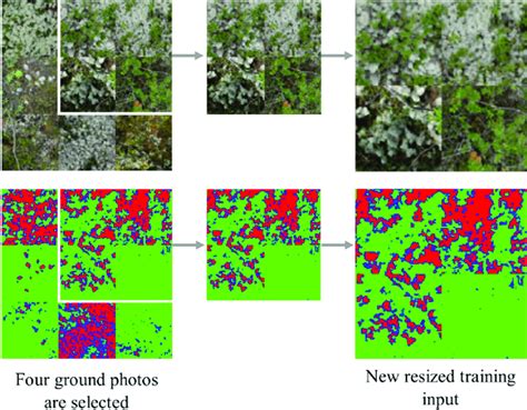 Crop And Resize Data Augmentations A Diagram Outlining The Crop And