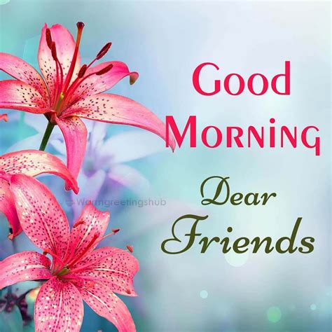 Flower Good Morning Friends Rose Flowers Good Morning Wishes Cards