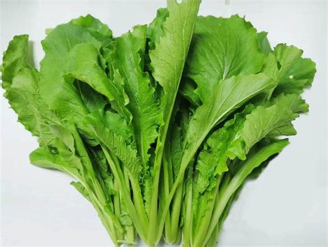Mustasa Mastard Vegetable Seeds 1000 Seeds Basic Farm House