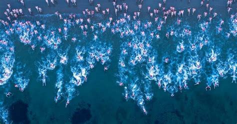 record field for nippy nude winter solstice swim st george