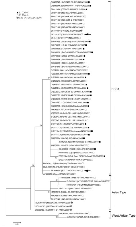 The Unrooted Tree Was Constructed Using Neighbor Joining Method With