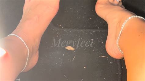 Pedal Pumping Barefoot Megyfeet Clips4sale