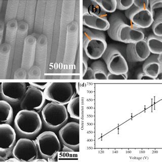 A The SEM Image Of The Morphology Of A TiO2 NT Array Synthesized Download Scientific Diagram