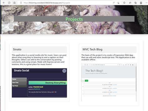 GitHub Strossouw React Portfolio