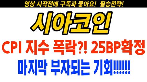 시아코인 코인전망 비트코인 이더리움 도지코인 시바이누 앞으로의전망 저스틴 선 챗gpt블록체인 저장공간 메타버스nft 코인의 향방은 Youtube