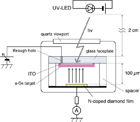 Schematic Diagram Of Diode Structure Photodetector That Consist Of A Se Download Scientific