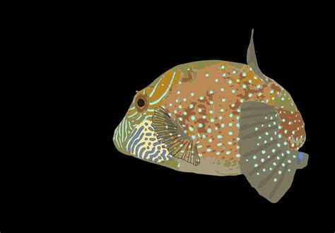 Blue Spot Toby Over 1 Royalty Free Licensable Stock Illustrations And Drawings Shutterstock