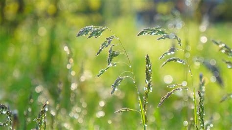 Sony Alpha A3000 Sample Photo X4miybsibp Explorecams