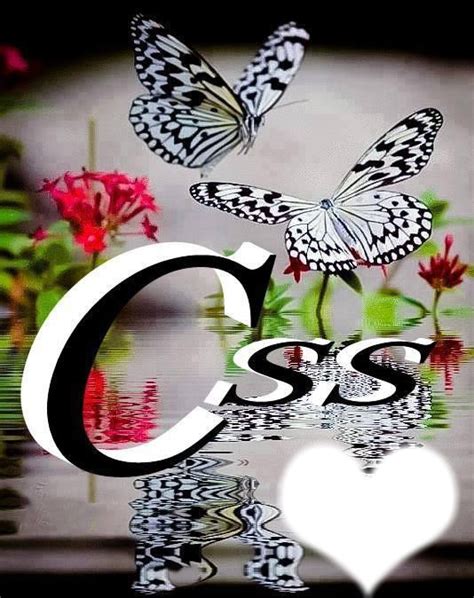 css love montage photo pixiz