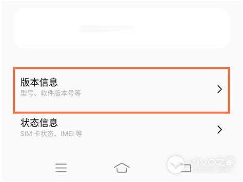 Vivoy77e在哪进入开发者模式vivoy77e的开发者模式如何进入vivo之家