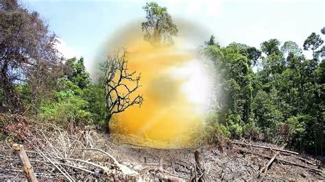 Sanhi At Bunga Ng Pagkasira Ng Mga Likas Na Yaman