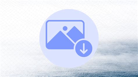 How To Download Images And Bounding Boxes From Fathomnet Using Python Resources Fathomnet