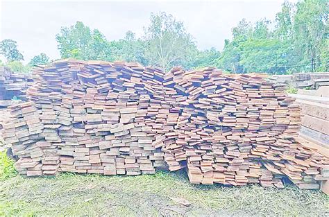 တရားမဝင် သစ်မျိုးစုံ၊ စက်သုံးဆီများ၊ လုပ်ငန်းသုံးပစ္စည်းများ၊ လူသုံးကုန်ပစ္စည်းများ၊ စားသောက်ကုန