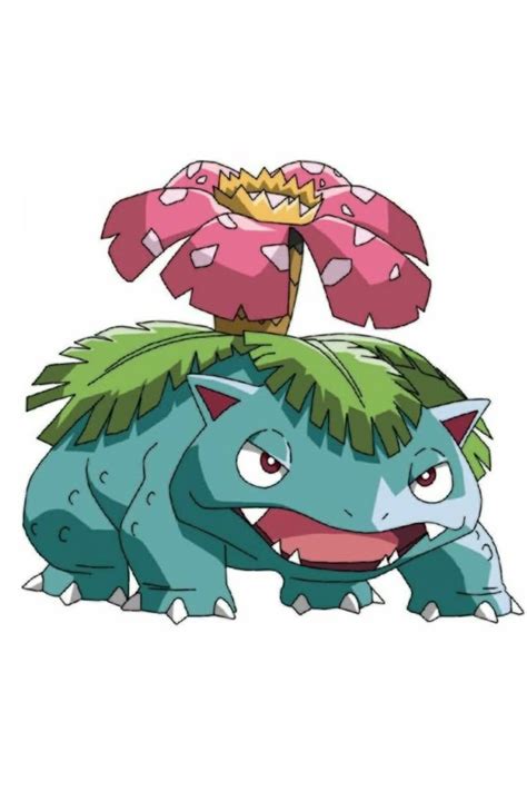 Quiet Venusaur At Kim Spruill Blog