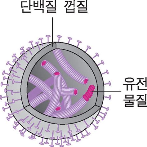 바이러스 Virus 네이버 블로그