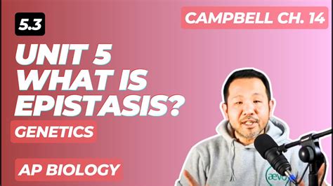 How To Solve Epistasis Genetics Problems Youtube